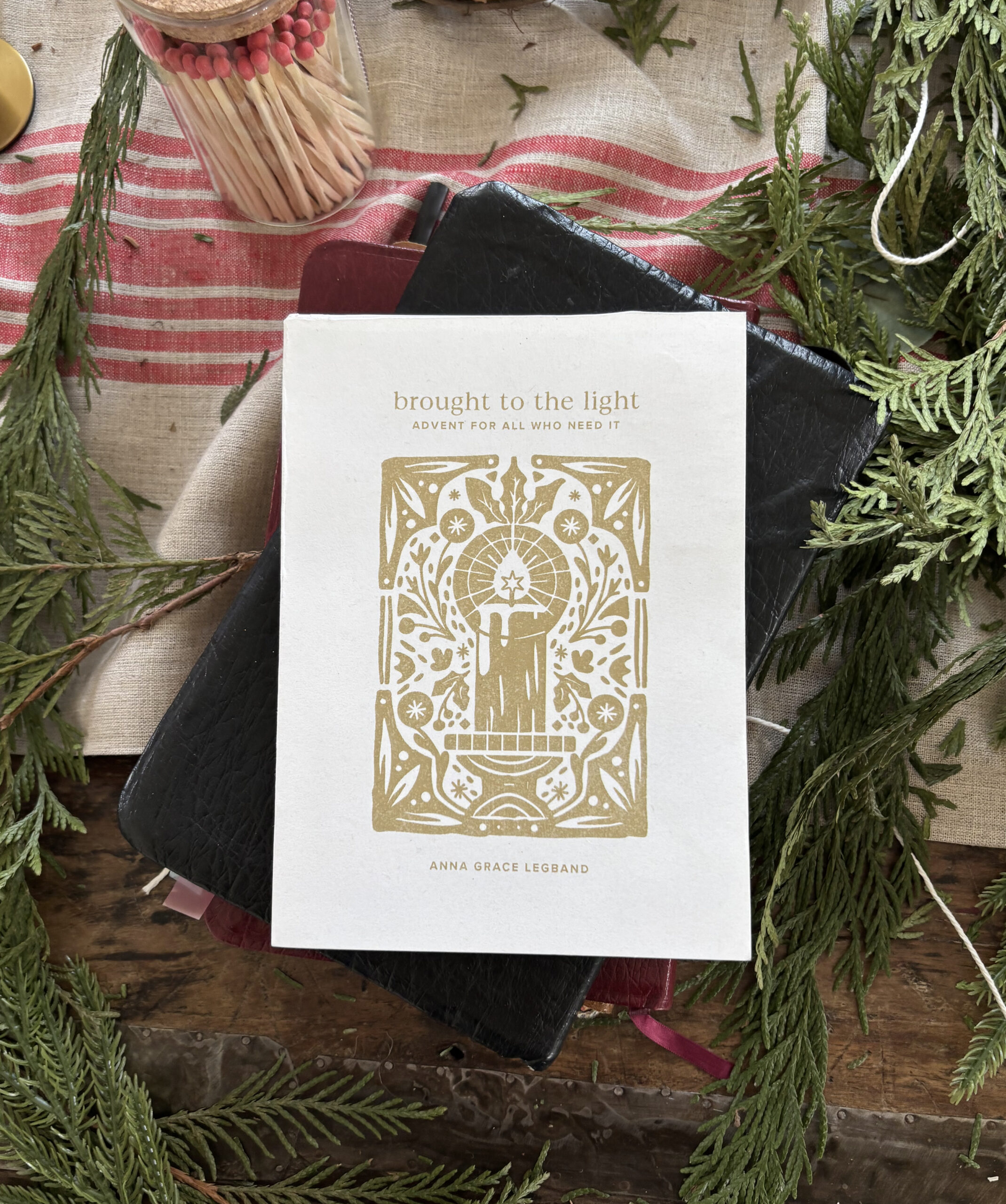 Brought to the Light - Advent For All Who Need It - 2025 Advent Study ...