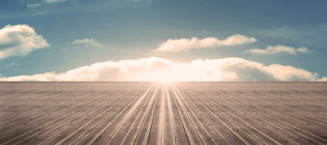 You're Not Going to Heaven: There's a Better Final Destination - Seedbed