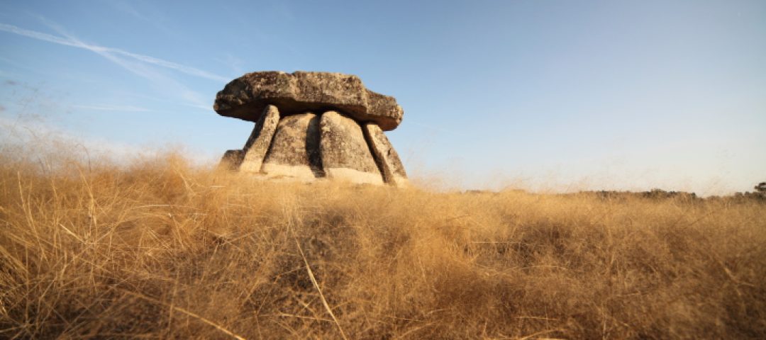 The 5 Offerings in the Old Testament - Seedbed