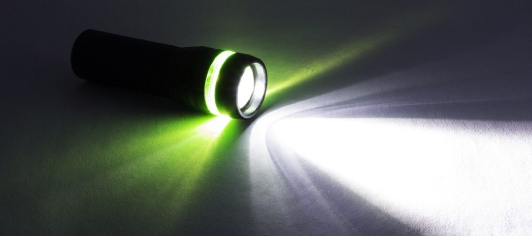 Grog: a Can't Miss Youth Game - Seedbed