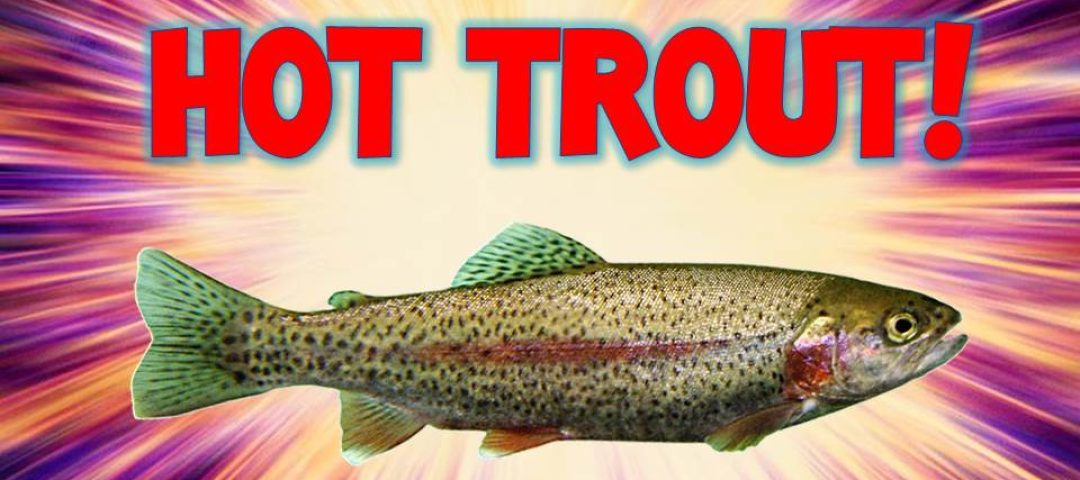 Hot Trout: a game that reels them in - Seedbed